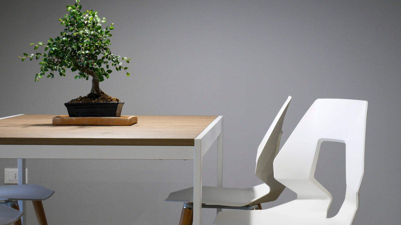 Modern office design ideas - JP Conaughton & Co