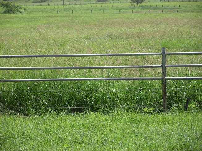 Home - JP Conaughton Real Estate